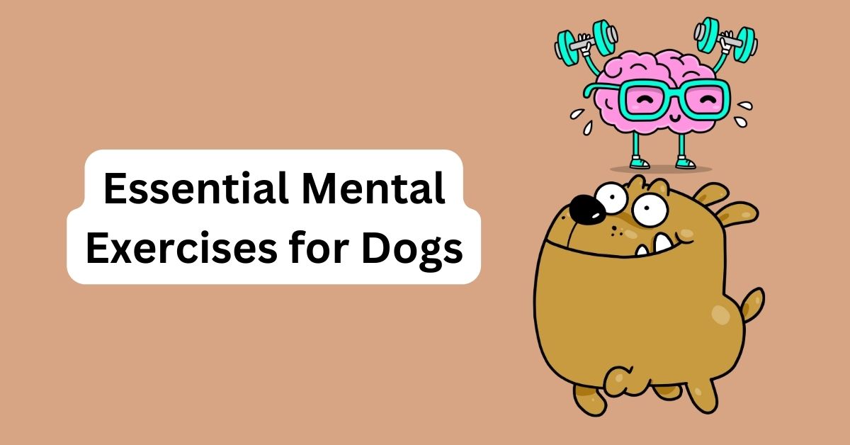 Essential Mental Exercises For Dogs Waggle essential-mental-exercises-for-dogs-waggle