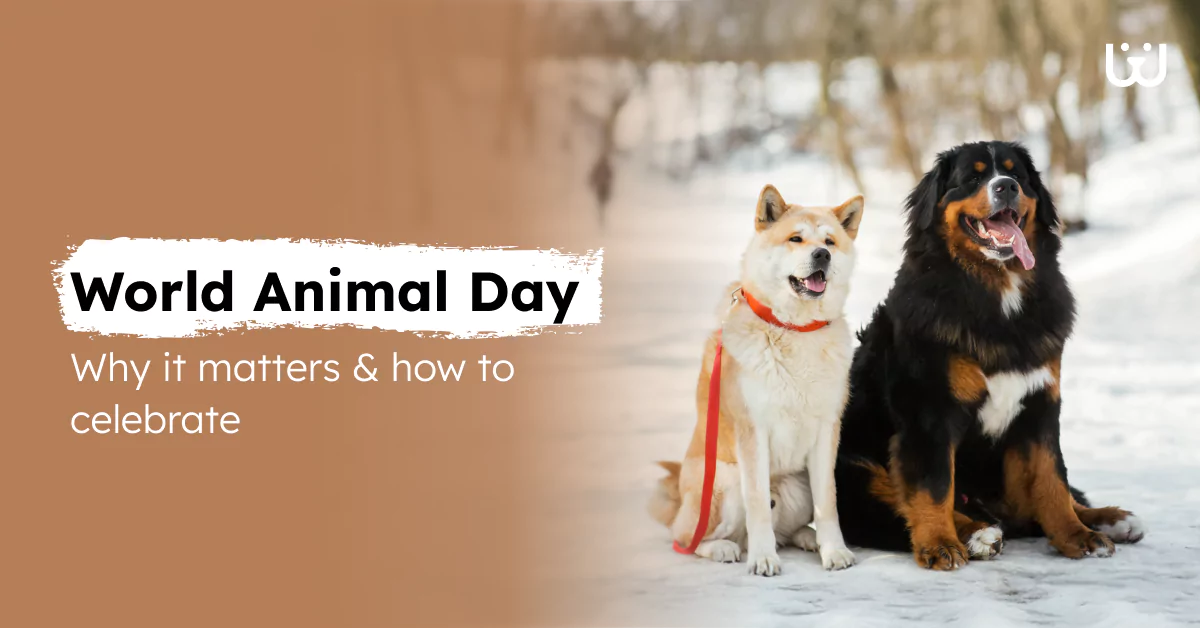 World Animal Day: Why It Matters and How You Can Celebrate – Waggle