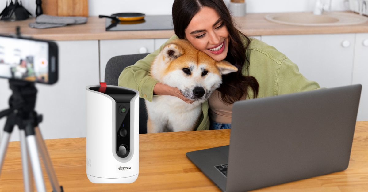 Choosing the Right Pet Camera: What Features Matter Most? – Waggle