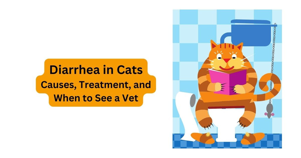 Diarrhea in Cats: Causes, Treatment, and When to See a Vet | Waggle
