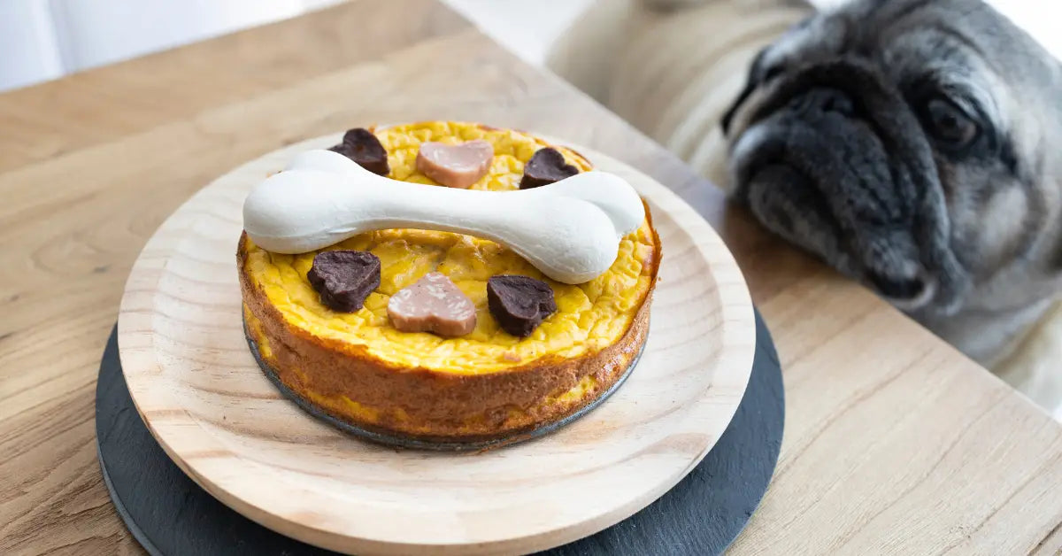 Pet-Friendly Peanut Butter & Banana Dog Cake Recipe – Waggle