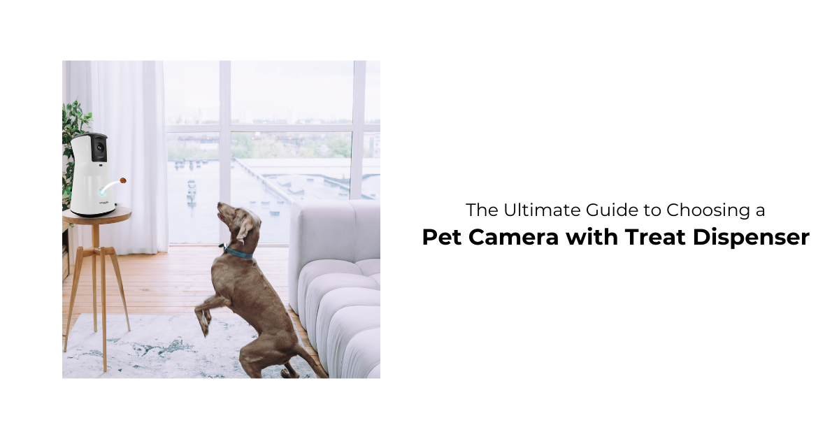 Your Essential Guide to Pet Camera with Treat Dispenser – Waggle