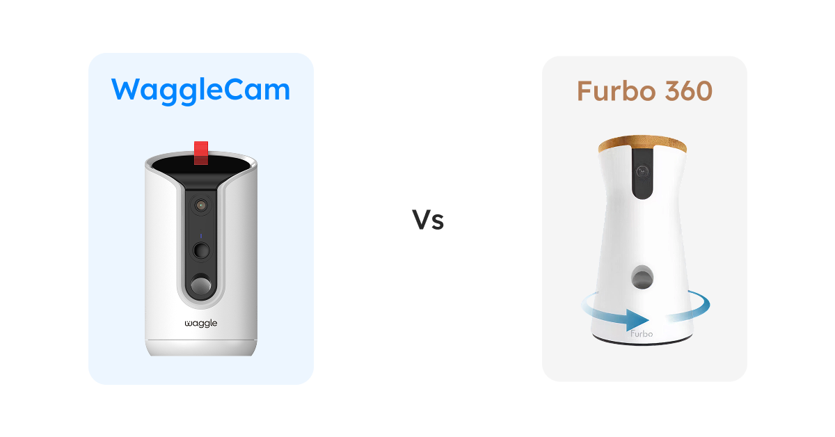 WaggleCam vs Furbo 360° | Which Pet Camera is Right for You?