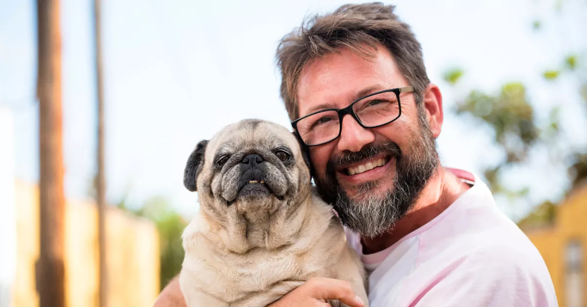 New Pet Laws U.S. Owners Need to Know in 2026 – Waggle